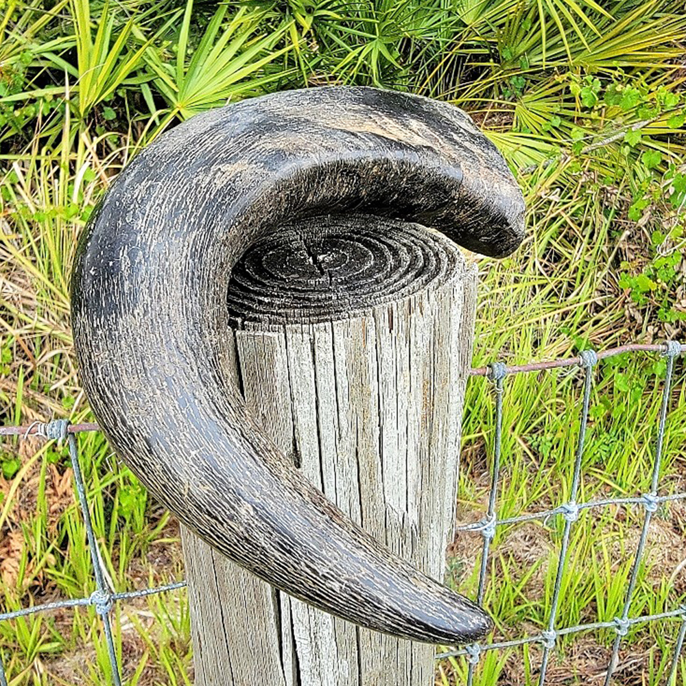 Bullysticks Organic: Water Buffalo Horn Large 2/bag