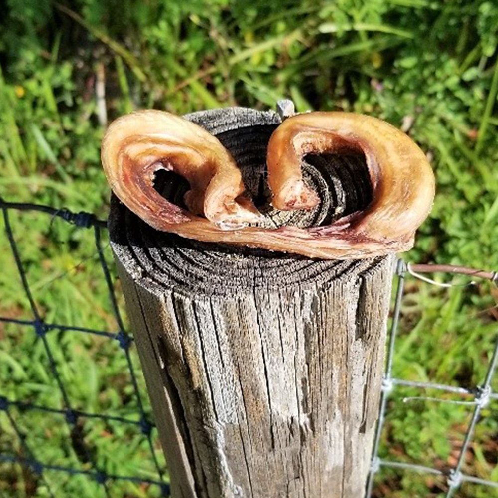 Bullysticks Organic: Bully Pretzel Small 4-5" (5 per bag) Low Odor