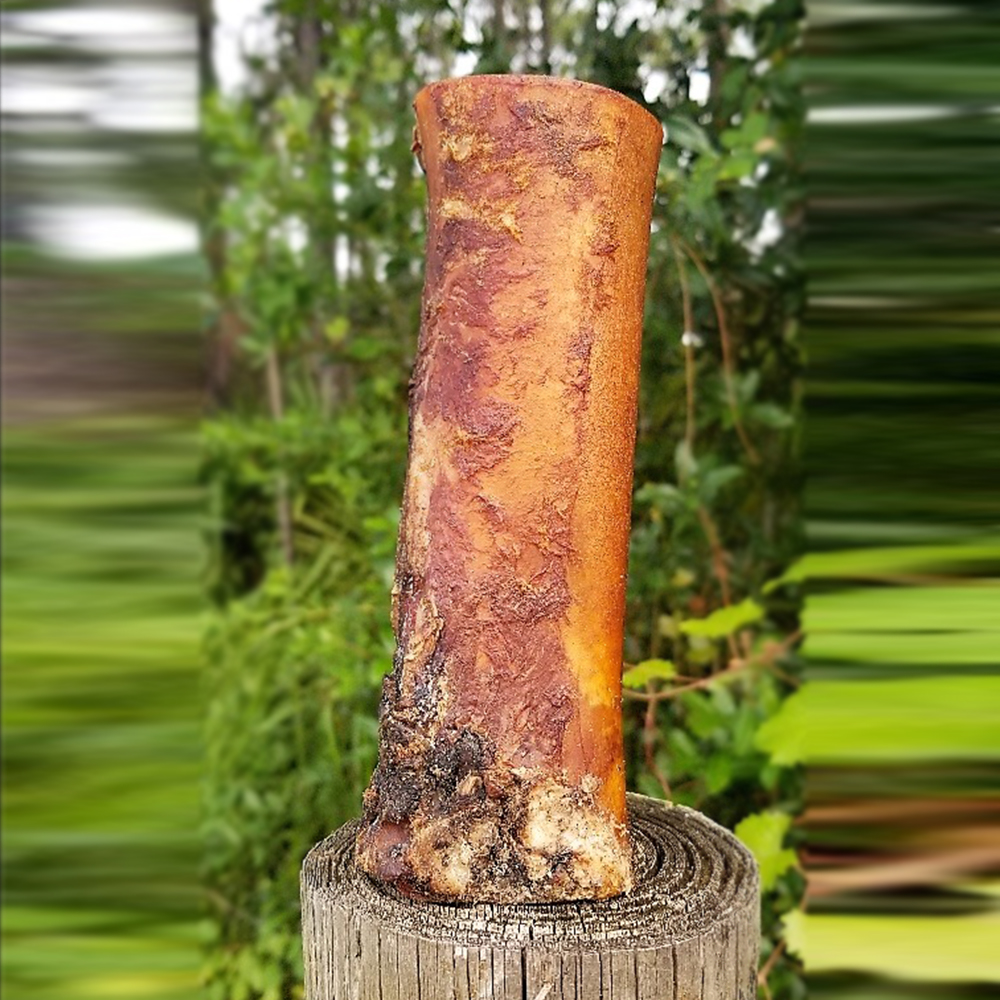 Bullysticks Organic: Smoked Beef Marrow Bone - Large (5 pack)