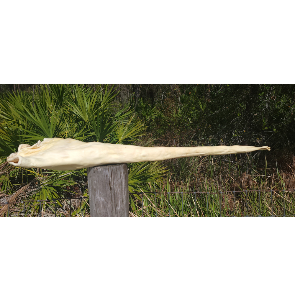 Bullysticks Organic: Bull Tail 16"-22" XL Plain Flavored (1 per bag)