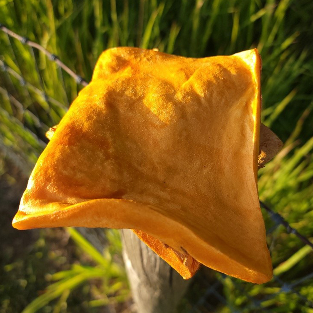 Bullysticks Organic: Beef Cheek Chips Peanut Butter 4"x4" (10 per bag)